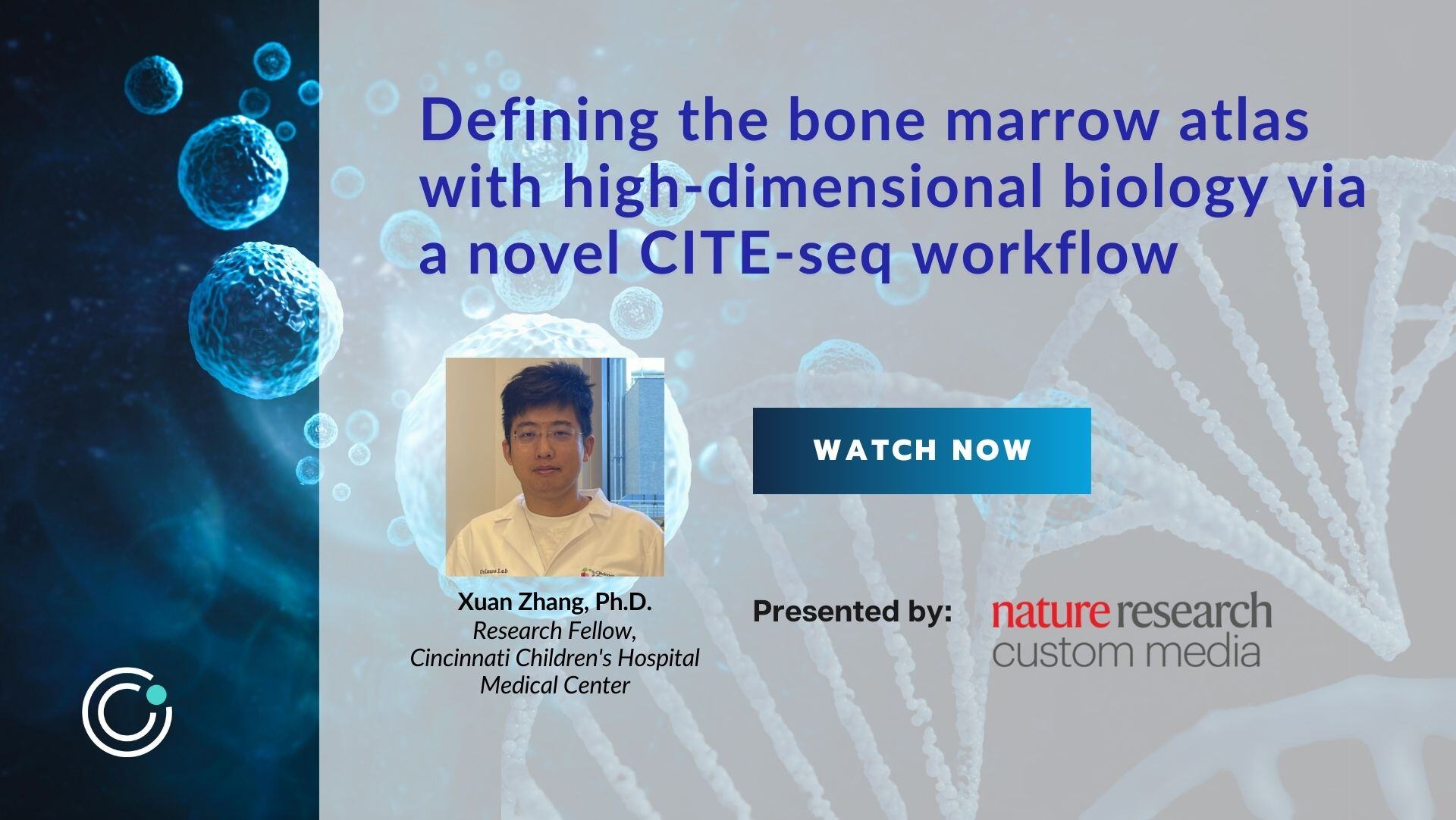 Defining the bone marrow atlas with high-dimensional biology via a novel CITE-seq workflow ...
